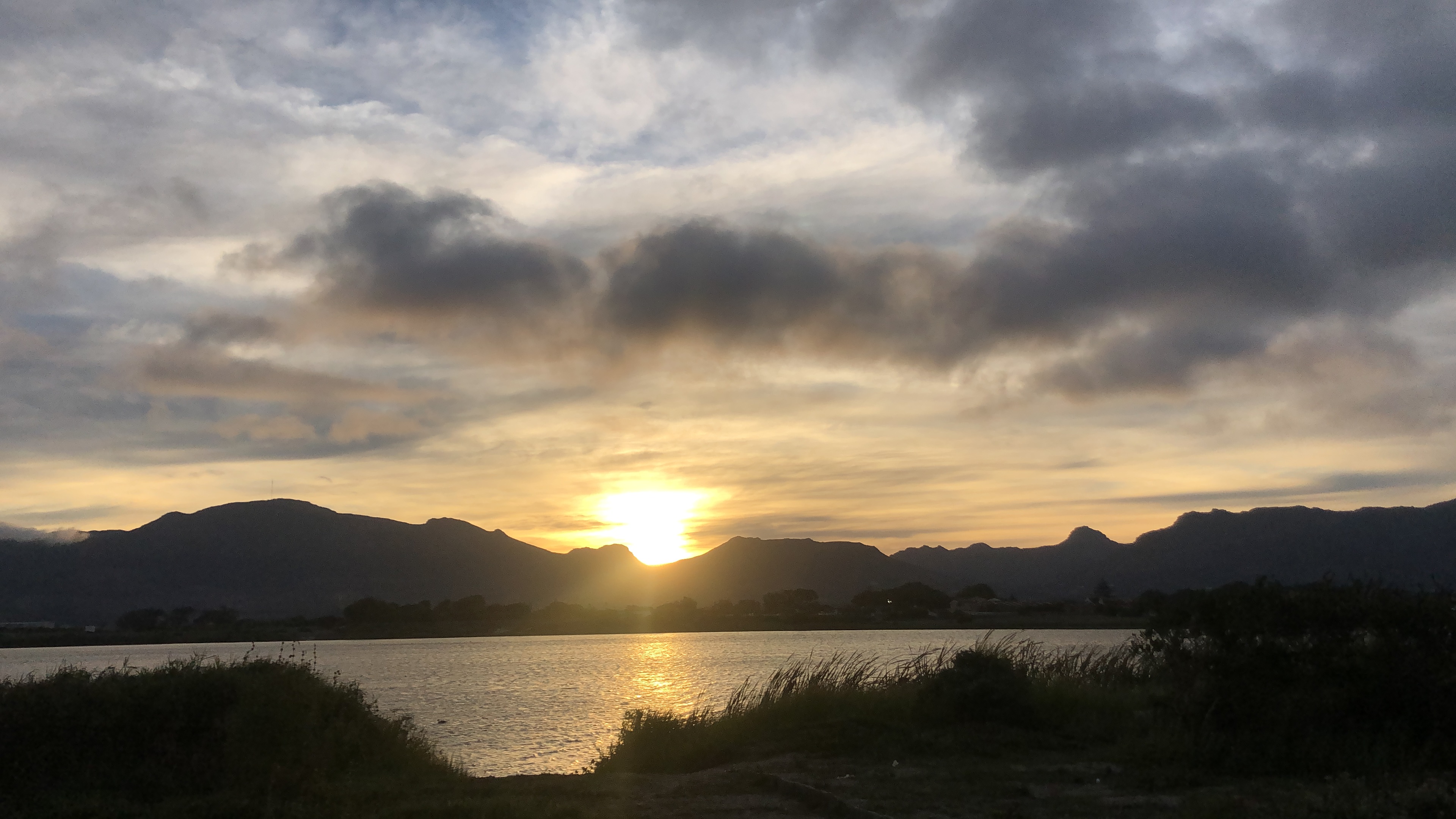Greater Princess Vlei Conservation Area · iNaturalist