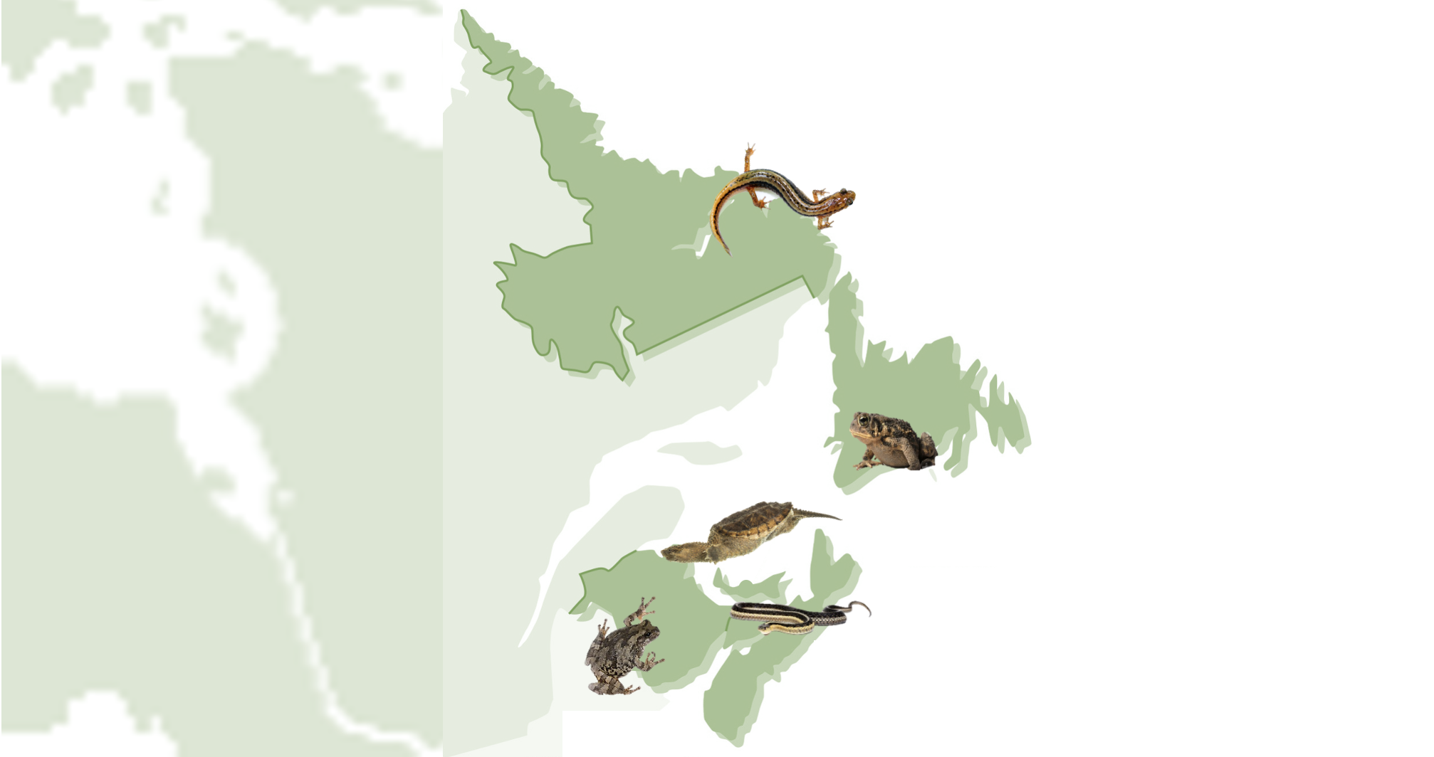 Atlantic Canada Amphibian and Reptile Atlas · iNaturalist Canada