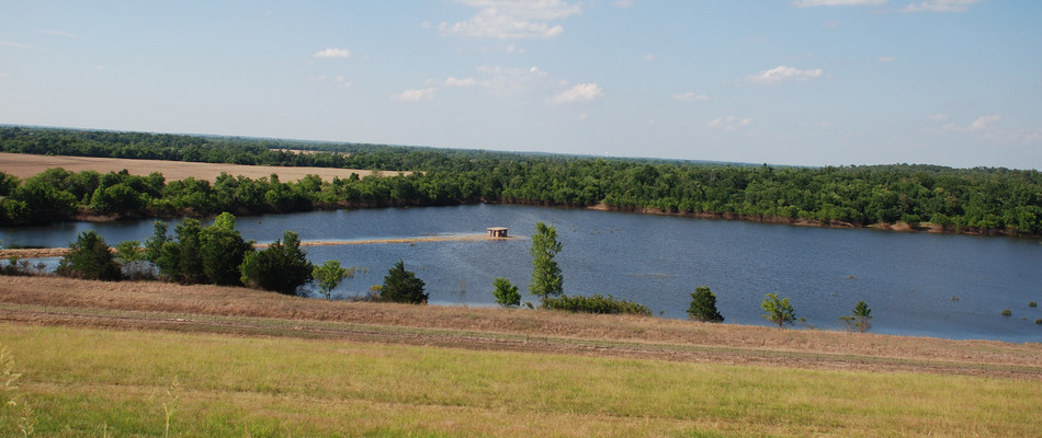 Pat Mayse Lake and Surrounding Areas · iNaturalist