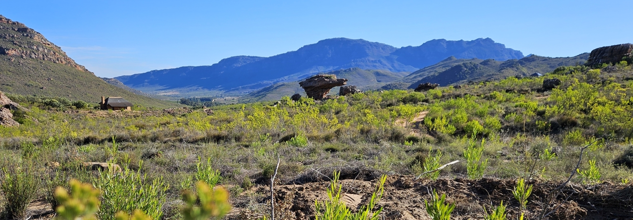 Banghoek Private Nature Reserve · iNaturalist Canada