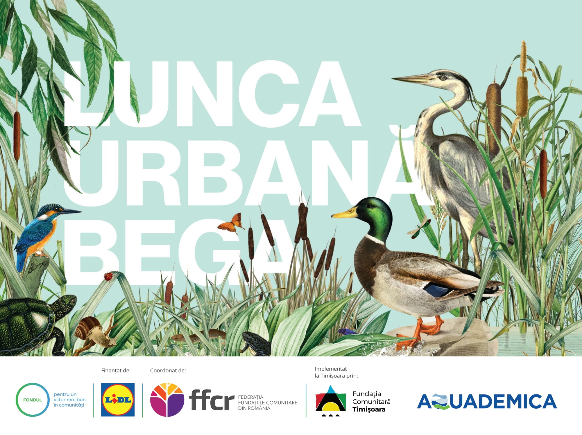 Lunca Urbana Bega · iNaturalist