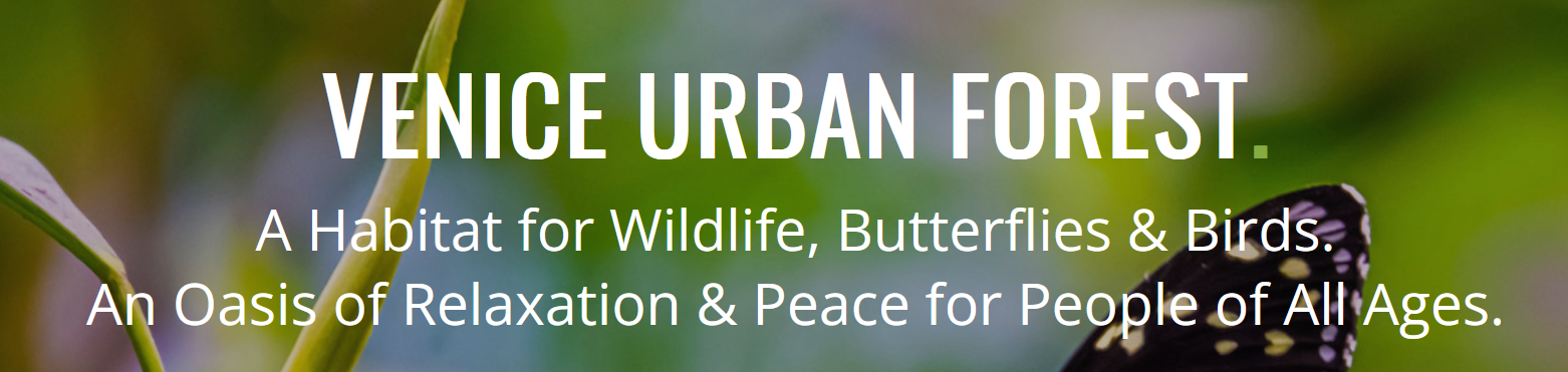 Venice Urban Forest · iNaturalist