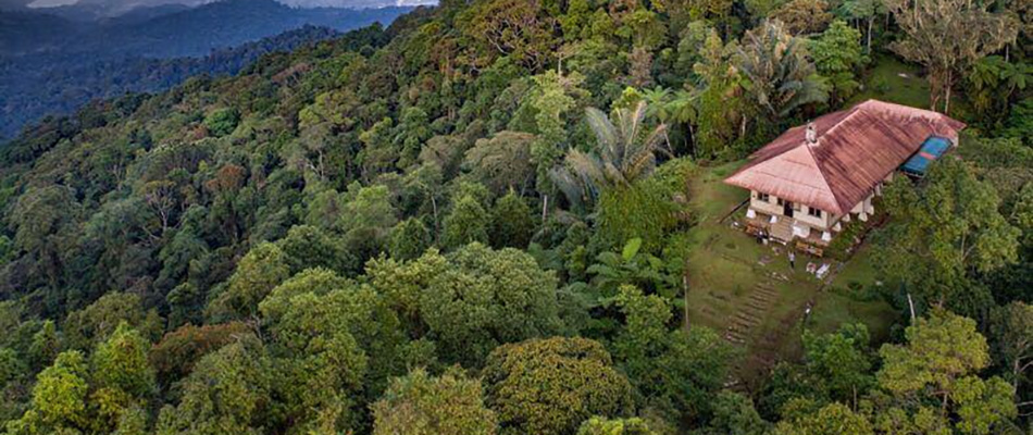 Leps of Maxwell Hill · BioDiversity4All