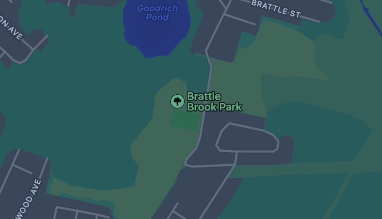 Berkshire Bioblitz 2022 - Brattle Brook Park · iNaturalist