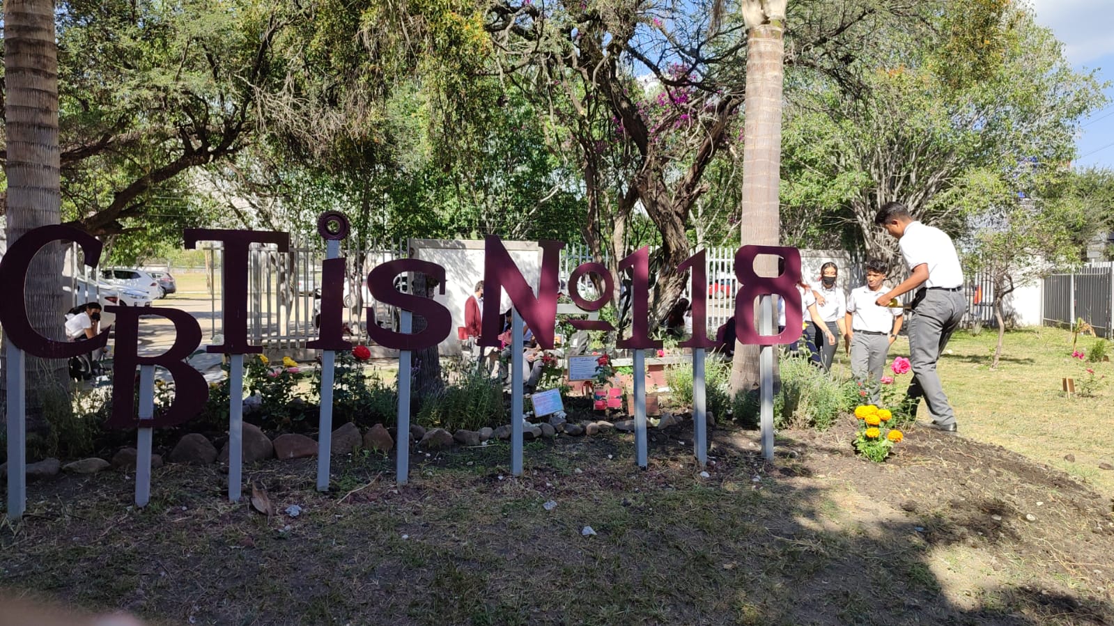 Jardín de polinizadores del CBTIS 118, Querétaro · iNaturalist