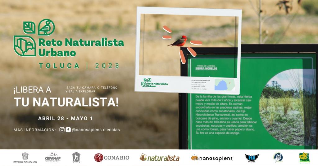 Reto Naturalista Urbano: Toluca 2023 · iNaturalist Mexico