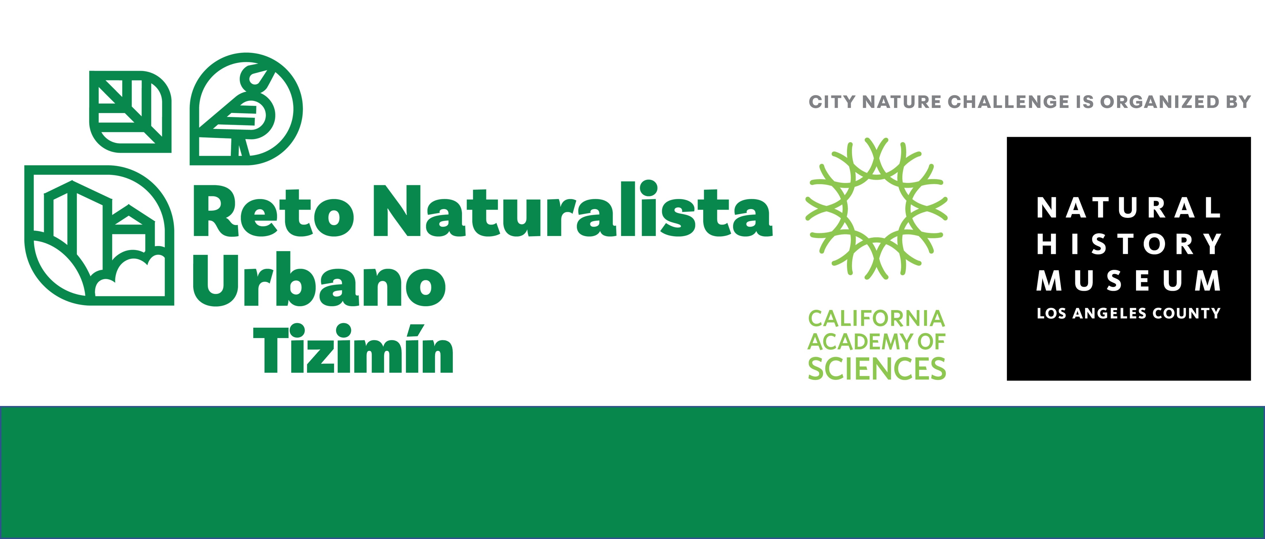 RETO NATURALISTA URBANO TIZIMÍN 2023 · iNaturalist Ecuador