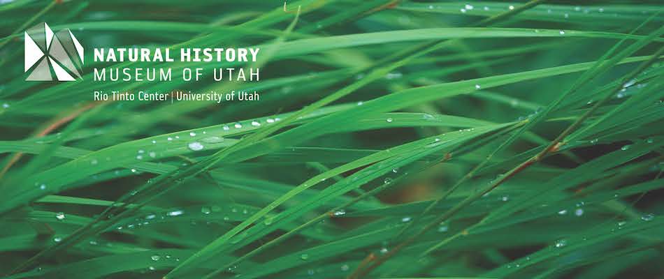 NHMU Nature Break 2023 · iNaturalist