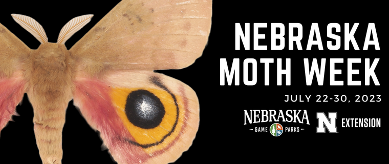 Nebraska Moth Week 2023 · iNaturalist