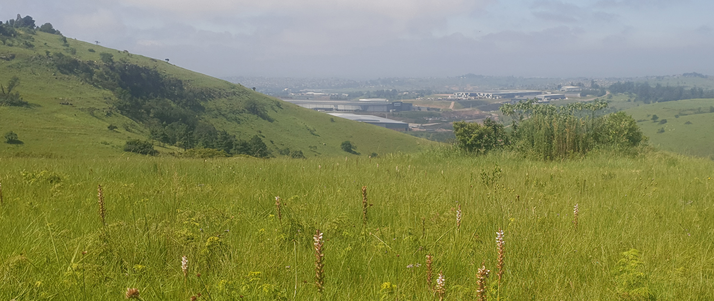 HCRDA Biodiversity · BioDiversity4All