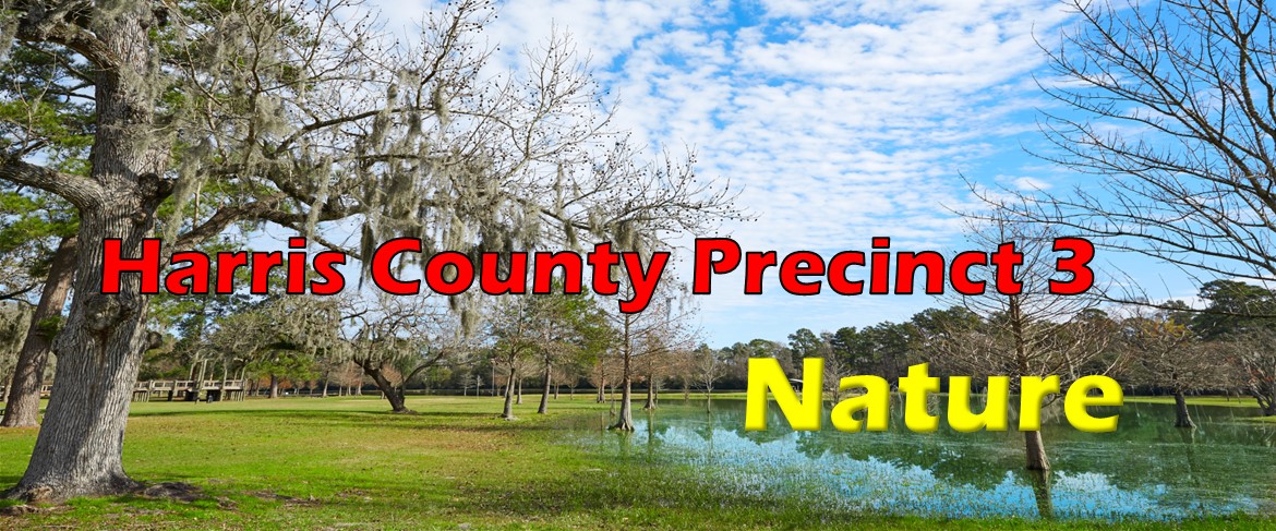 Harris County Precinct 3 · iNaturalist Canada