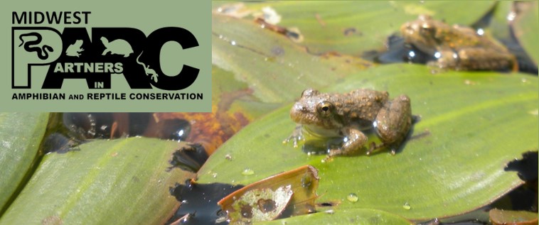 Midwest PARC Blanchard's Cricket Frog Blitz · iNaturalist