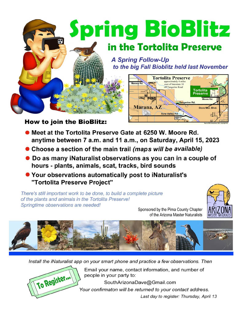 Tortolita Preserve Spring BioBlitz · iNaturalist