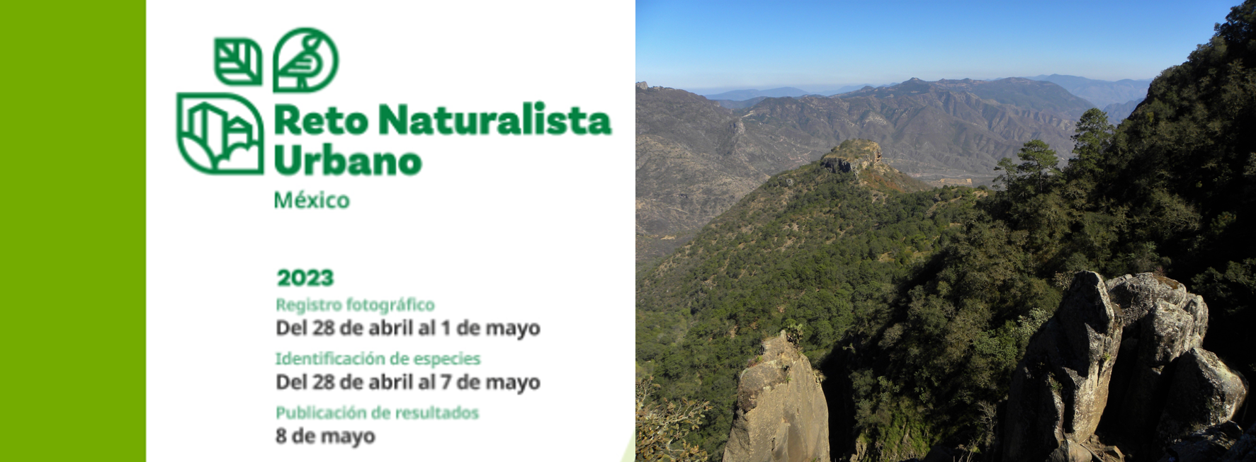 CNC2023: Victoria, Gto. · iNaturalist NZ