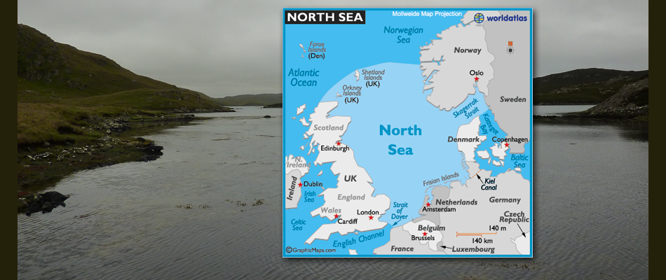 Biodiversity of the North Sea · iNaturalist