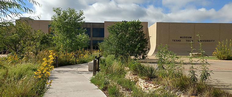 TTU Museum - Plants · iNaturalist