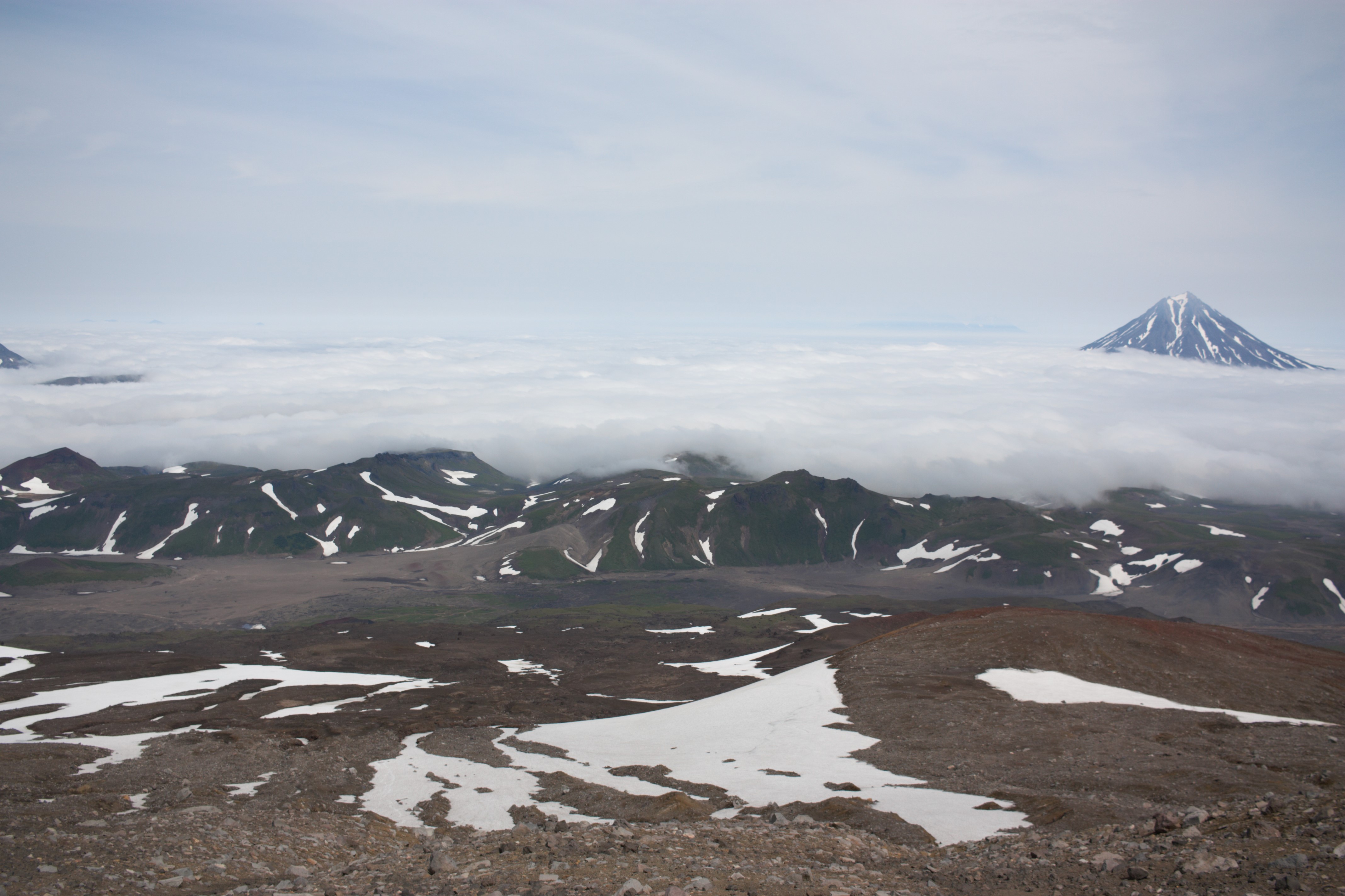 ВШЭ - 2023 · iNaturalist Canada