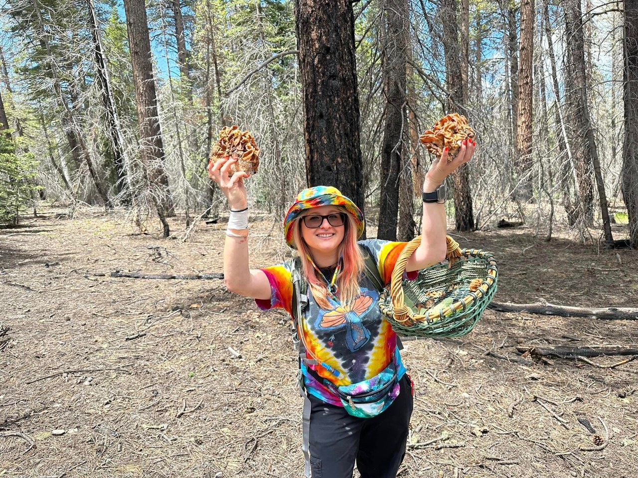 AMS North Kaibab Foray · NaturaLista Colombia