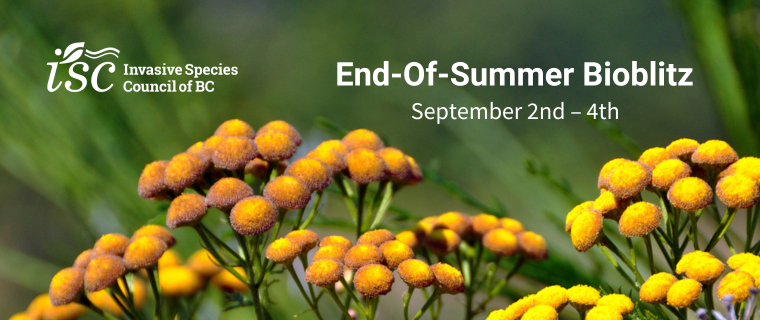 ISCBC End-of-Summer Bioblitz! · iNaturalist