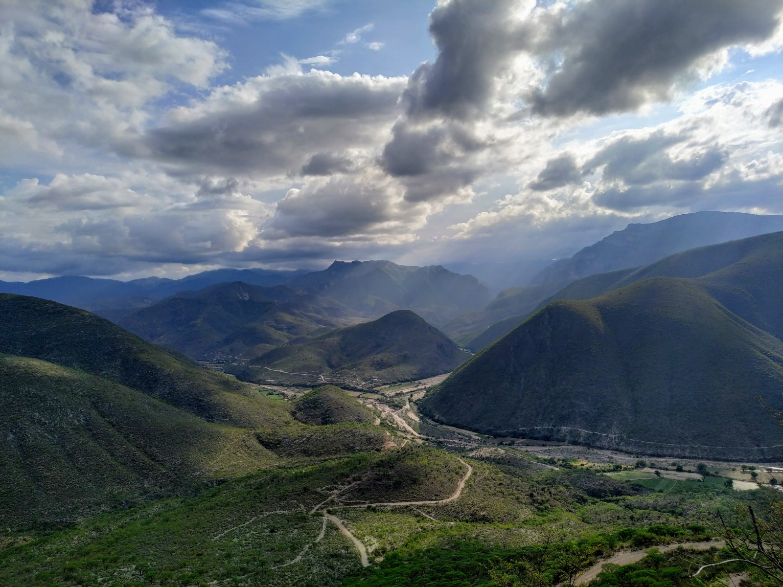 Reto Naturalista Urbano 2024: ANP Sierra Gorda Gto · iNaturalist Canada