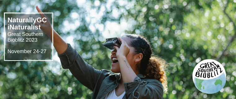Great Southern Bioblitz 2023 Gold Coast · iNaturalist