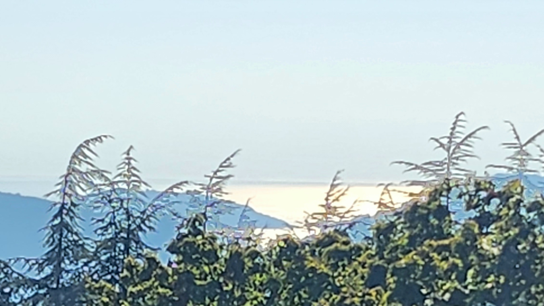 Parco di Montemarcello · iNaturalist Canada