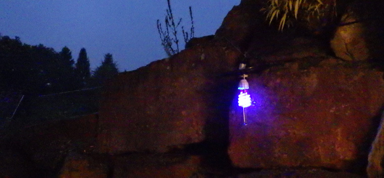 Winter - insects - Saarland 2023/24 · iNaturalist United Kingdom