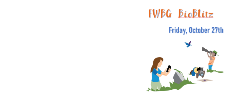 FWBG Fall 2023 BioBlitz · iNaturalist Mexico