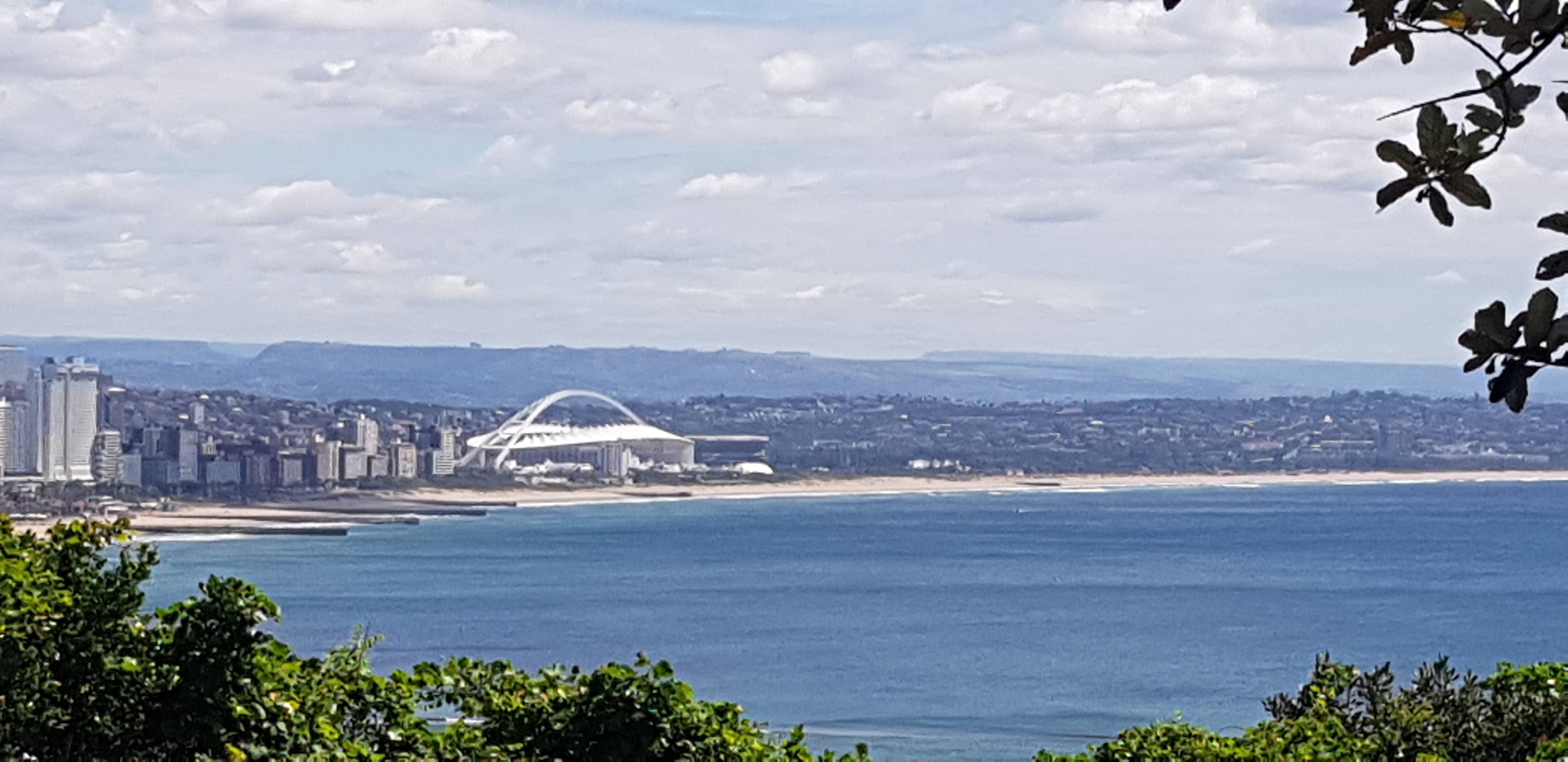 City Nature Challenge 2024: eThekwini · iNaturalist Canada