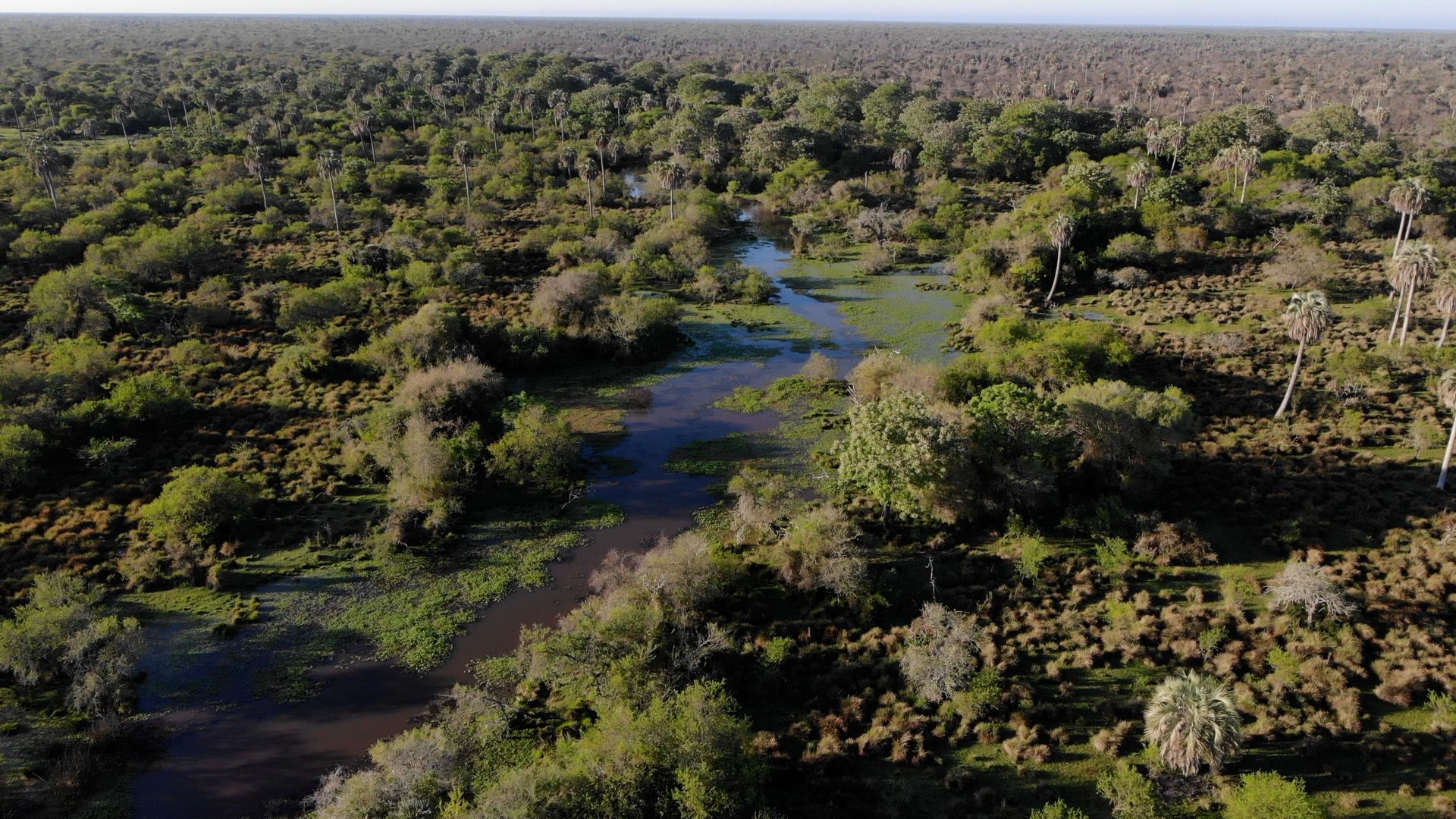 Campos de Montiel · iNaturalist Canada