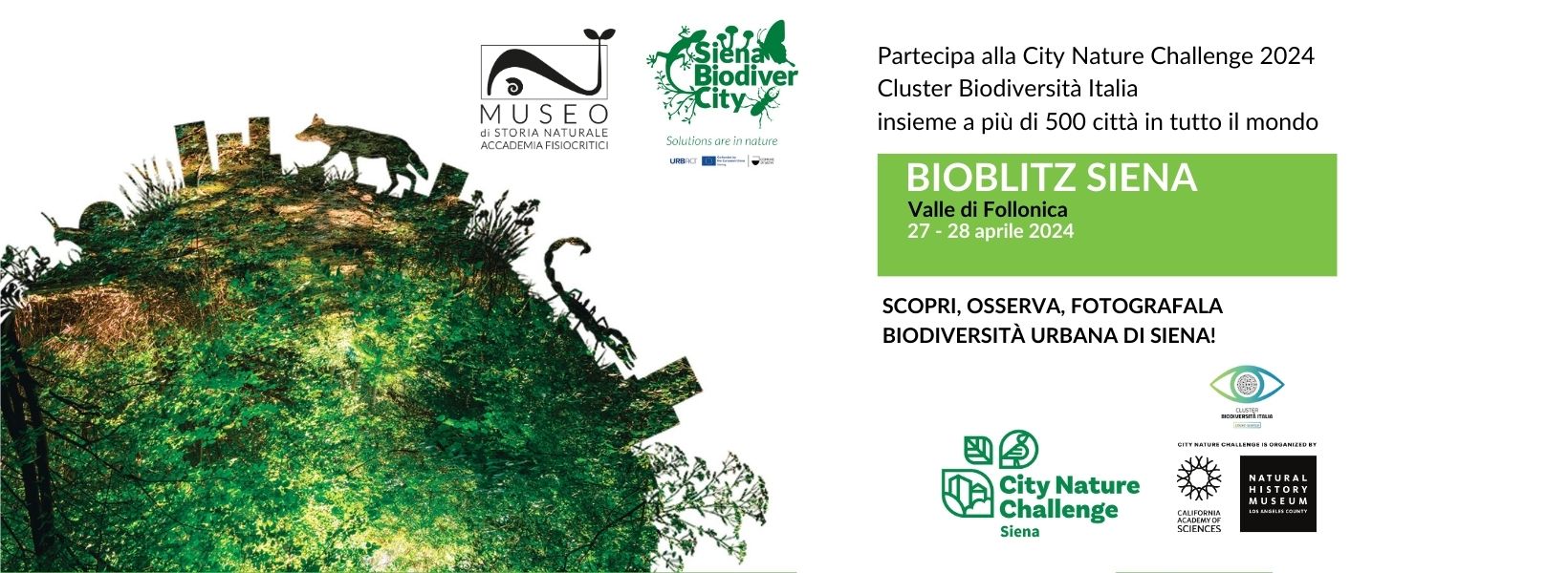 "City Nature Challenge 2024: Siena" Cluster Biodiversità Italia ...