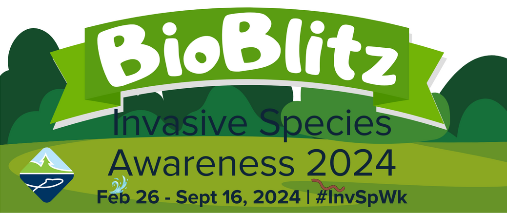 Invasive Species Awareness 2024 Bioblitz · iNaturalist