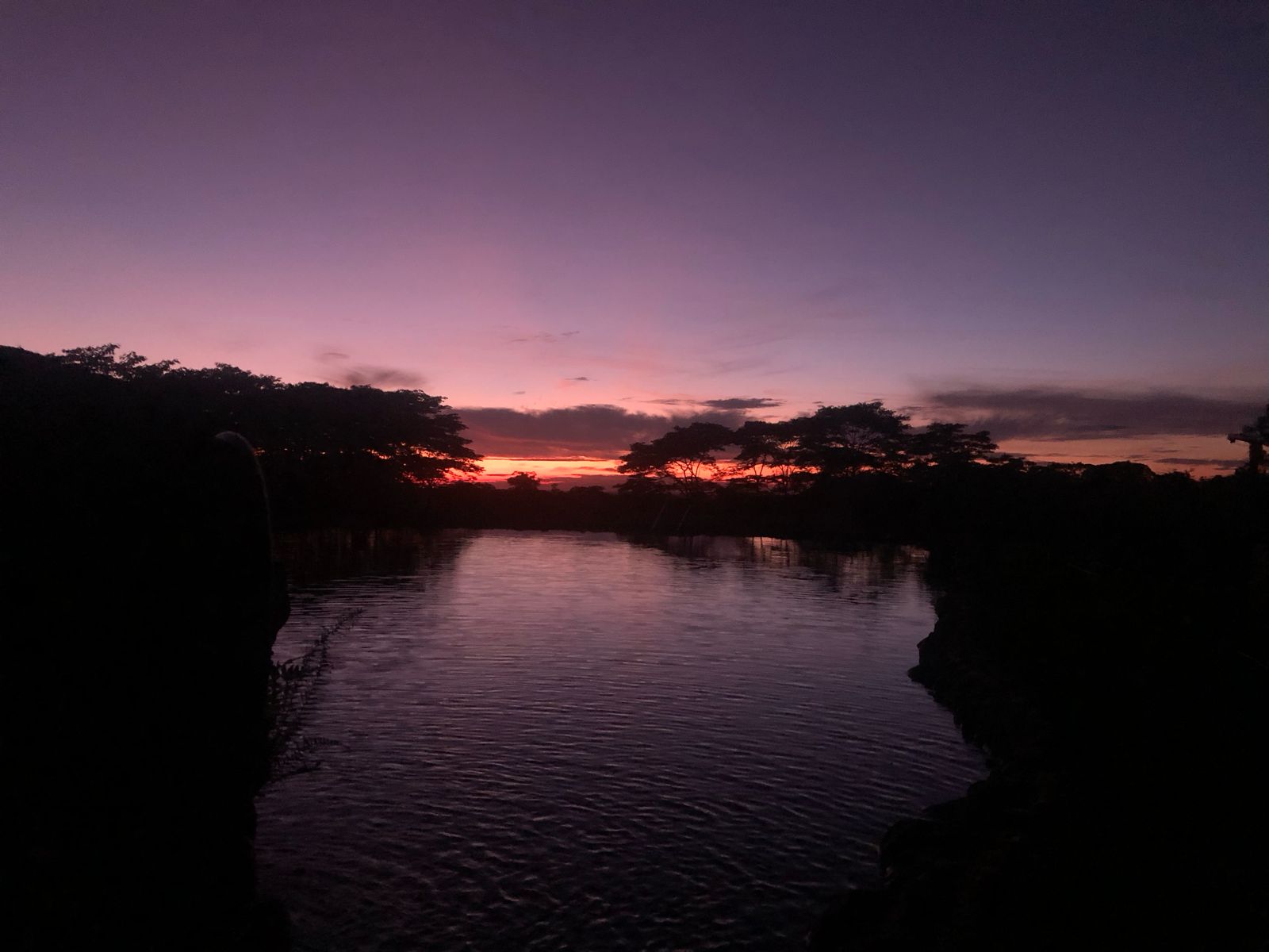 Fauna Oculta: Invertebrados de Bogotá, Huila, Santander y Norte de ...