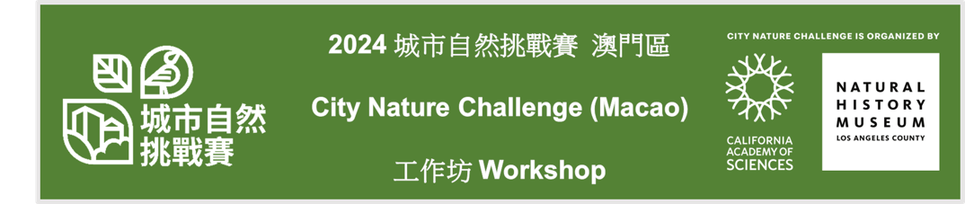 2024 City Nature Challenge - Macao Workshop · BioDiversity4All