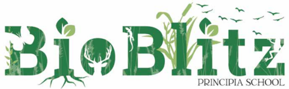 Principia BioBlitz 2024 · iNaturalist