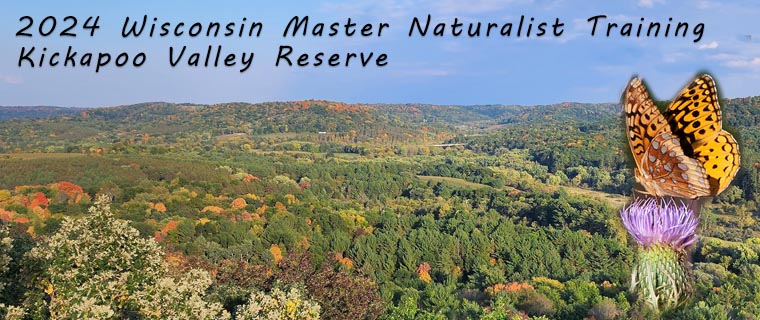 2024 WMN - Kickapoo Valley Reserve · iNaturalist United Kingdom