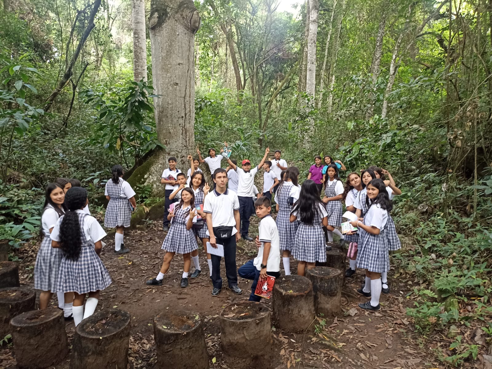 Parquebosque el Guadual-Rivera-Huila · iNaturalist Mexico