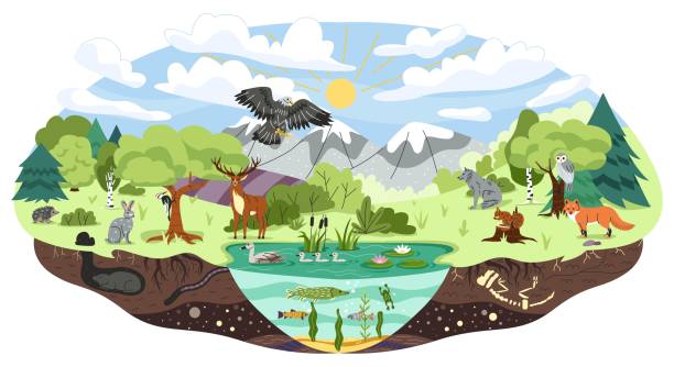 2024 Ecology practical courses · iNaturalist