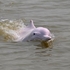 中国海域生物多样性 Marine life in China icon