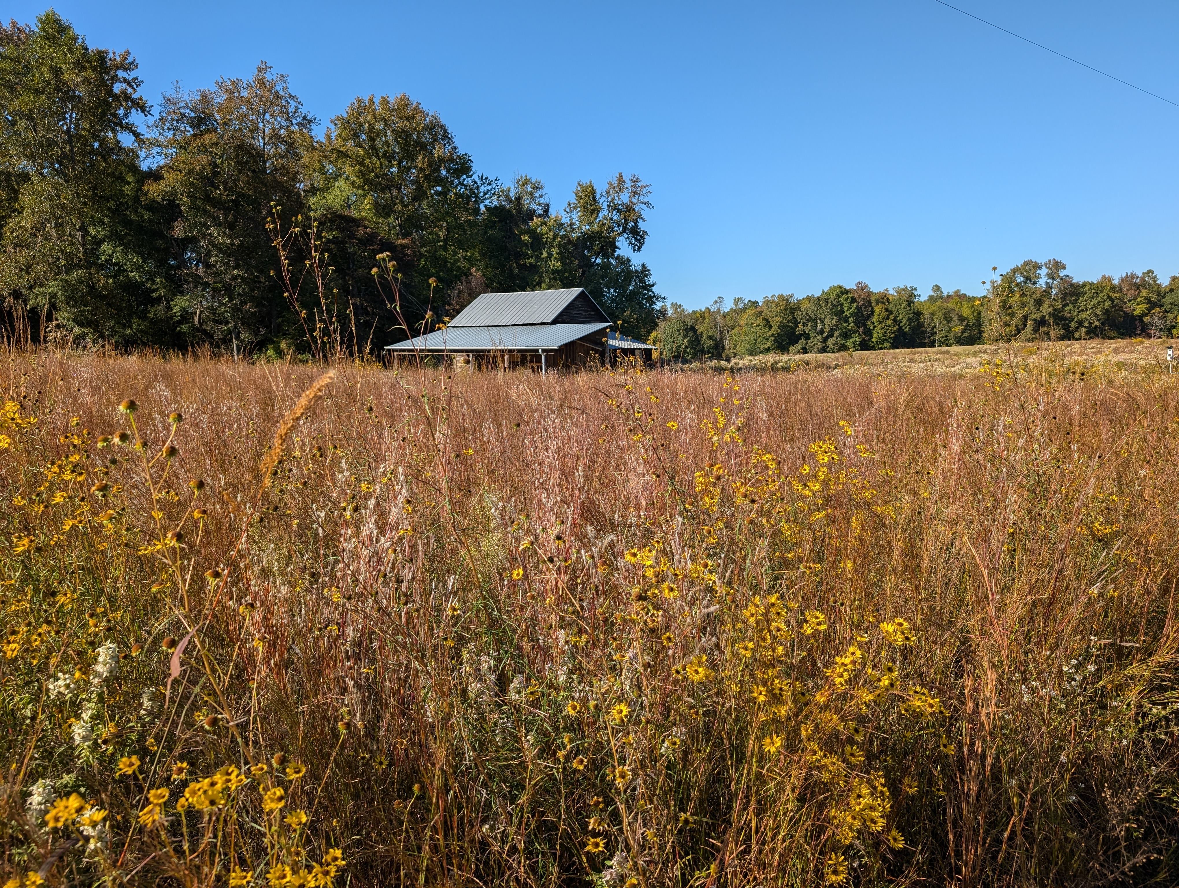 Bluestem Conservation Cemetery · iNaturalist