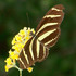 Everglades National Park, US, FL · iNaturalist