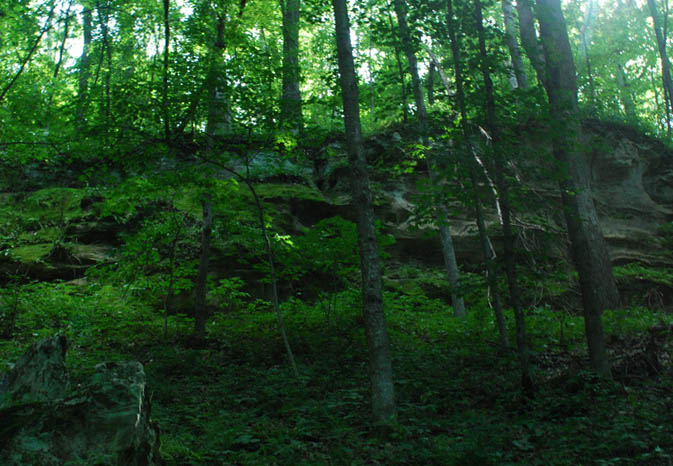 Kickapoo Valley Reserve · iNaturalist Mexico