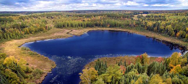 Argonne Outwash Plains · iNaturalist Canada