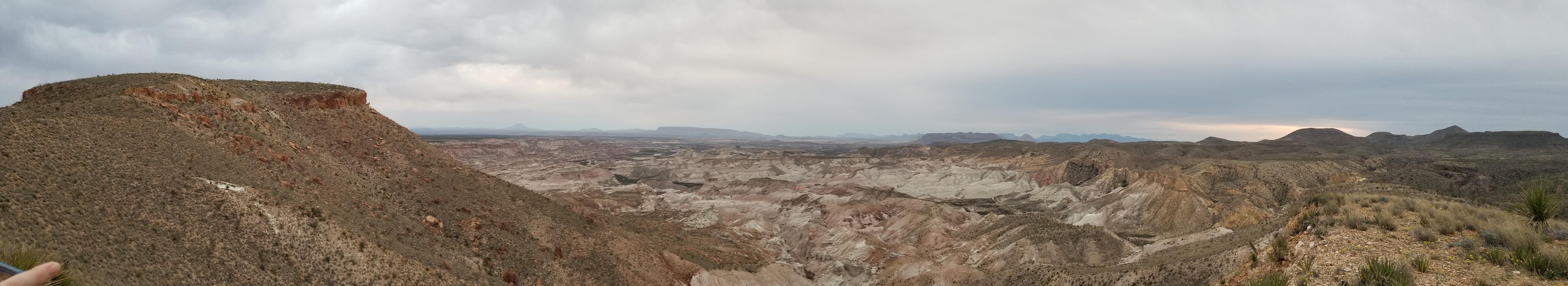 Dalquest Desert Research Station · BioDiversity4All