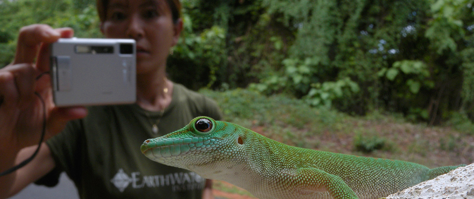 Earthwatch Institute · iNaturalist