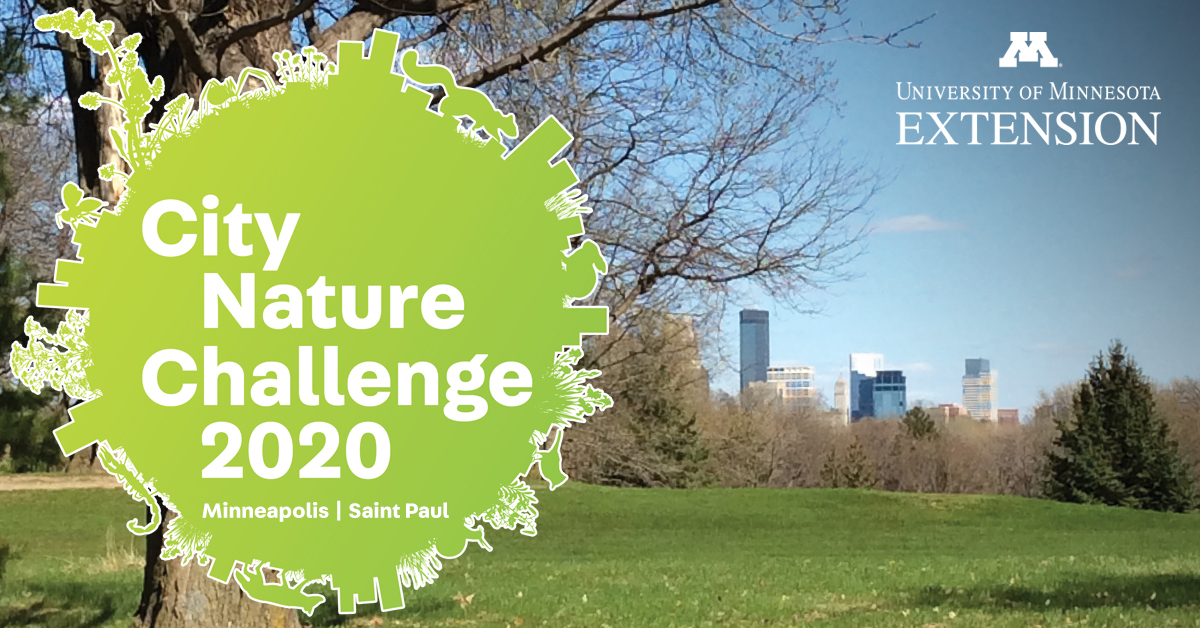City Nature Challenge 2020: Minneapolis-St. Paul · iNaturalist