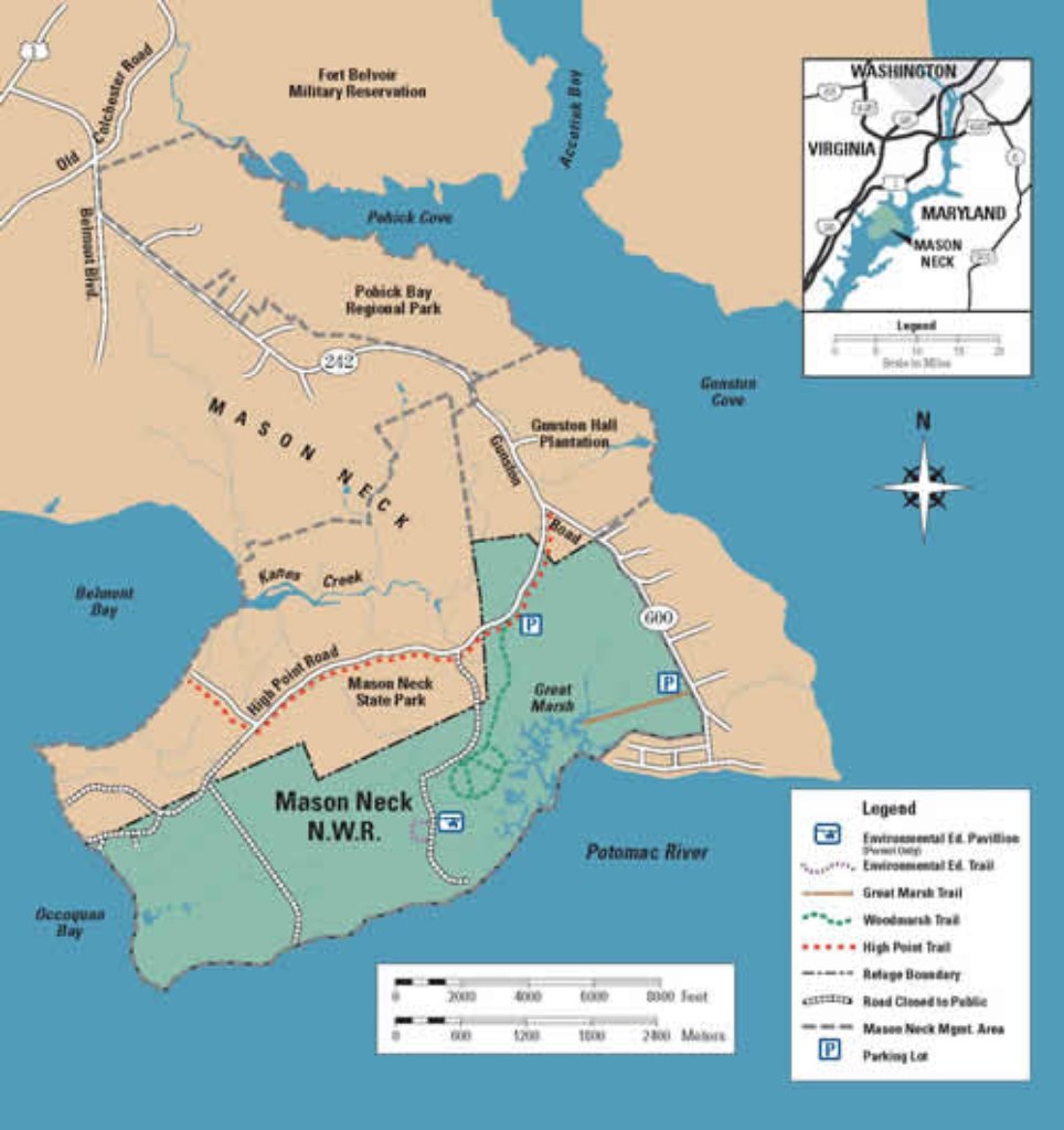 Insects of Mason Neck State Park · iNaturalist Mexico
