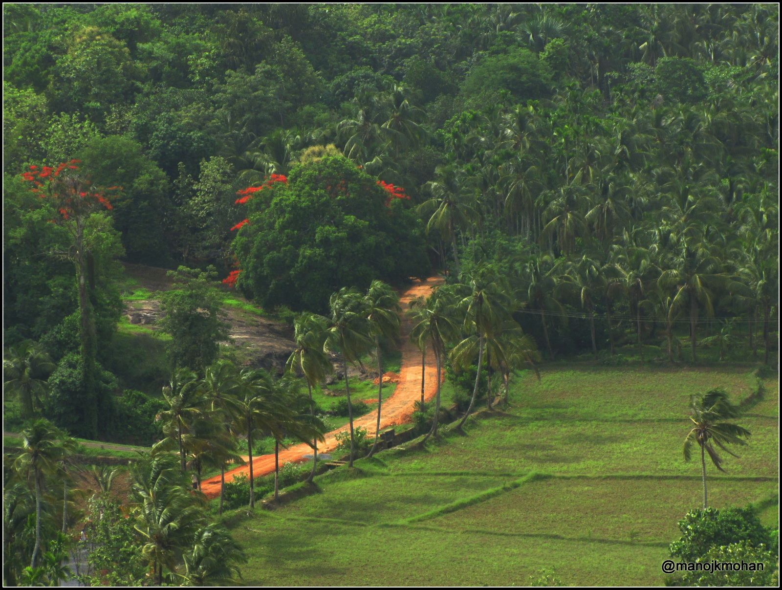 Kerala Biodiversity Monitoring Network · iNaturalist