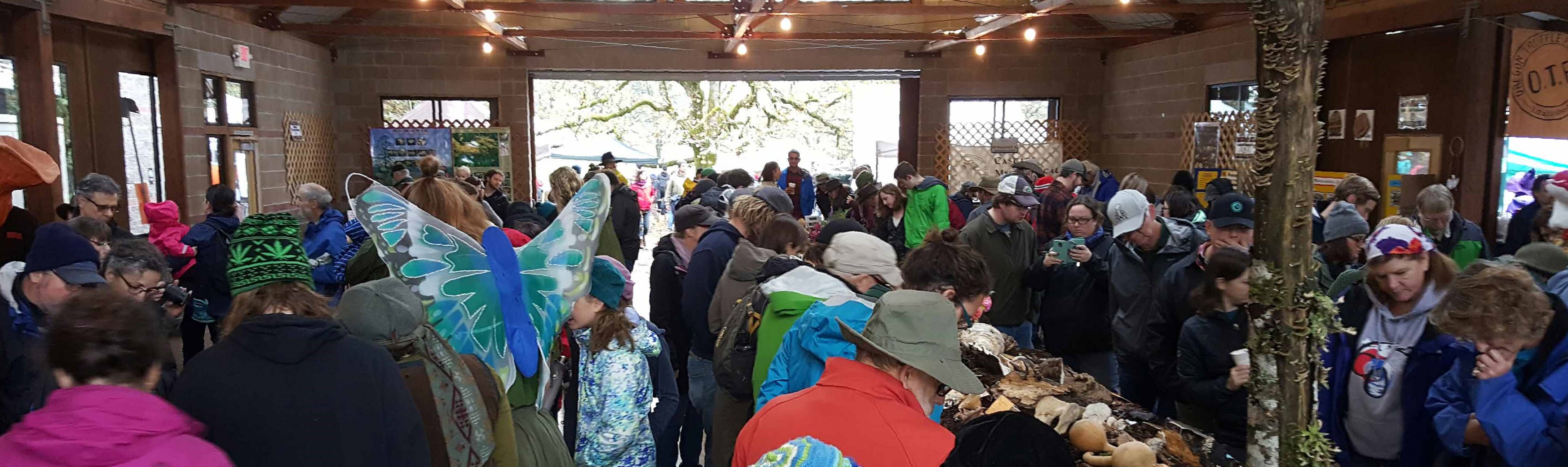 Lane County Mushroom Show Mycoblitz 2020 · iNaturalist