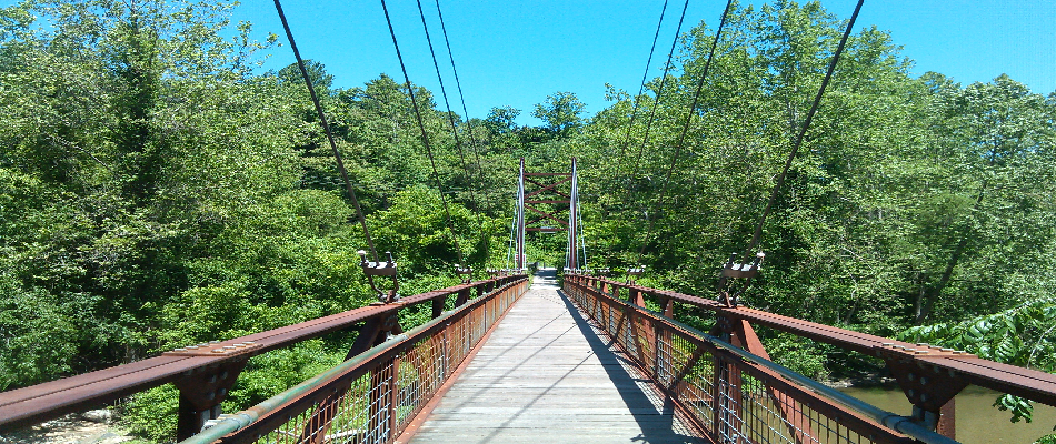 Patapsco Valley State Park · Inaturalist